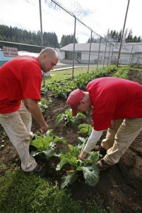 Prison Moss Project | Prison Photography
