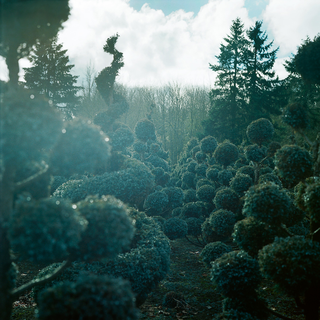 Eye on PDX: Julie Verdini | Prison Photography