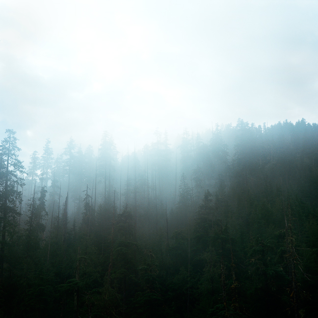 Eye on PDX: Julie Verdini | Prison Photography