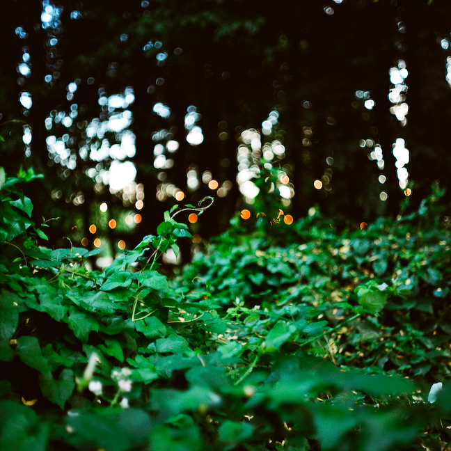 Eye on PDX: Julie Verdini | Prison Photography