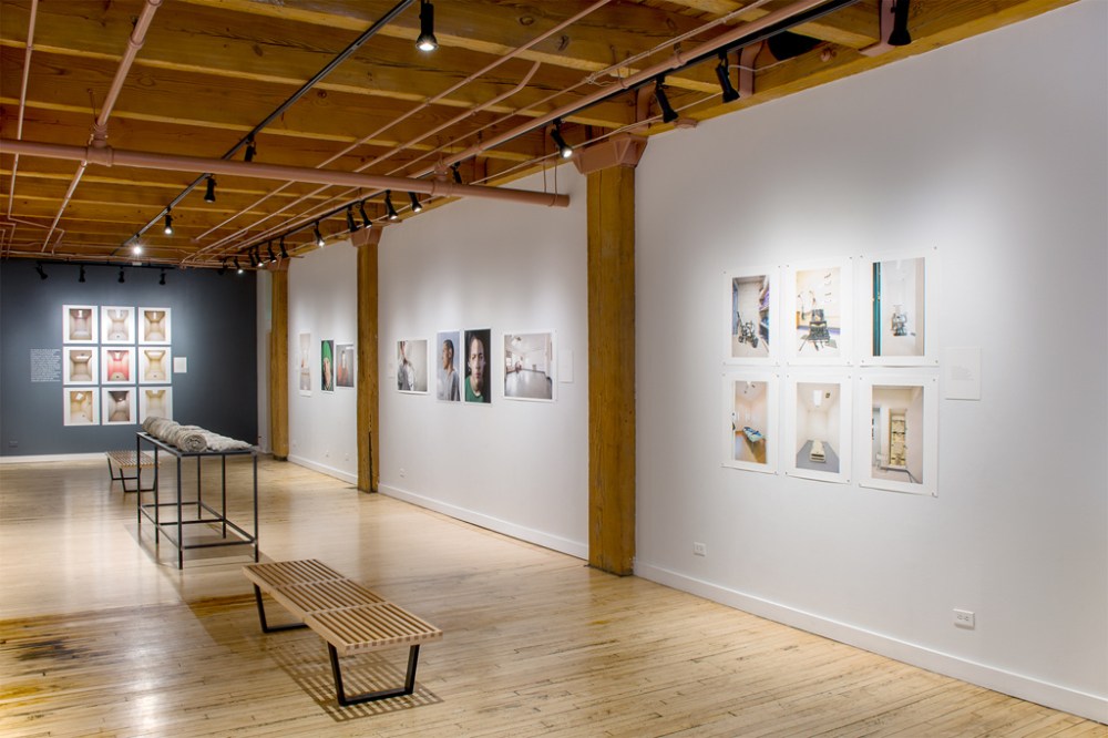 What Are We Doing Here?: Some Thoughts On Cell Walls and Gallery Walls ...