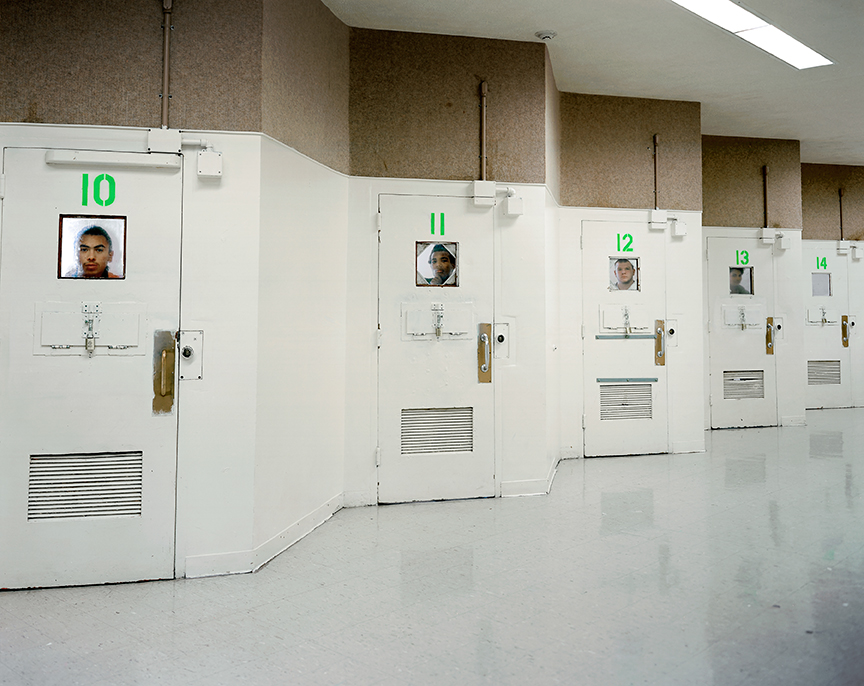 What Are We Doing Here?: Some Thoughts On Cell Walls and Gallery Walls ...