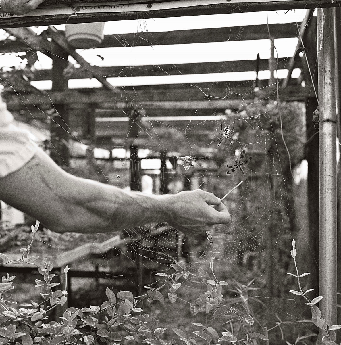 Kim Rushing’s Brief Step Back In Time at Parchman Penitentiary ...